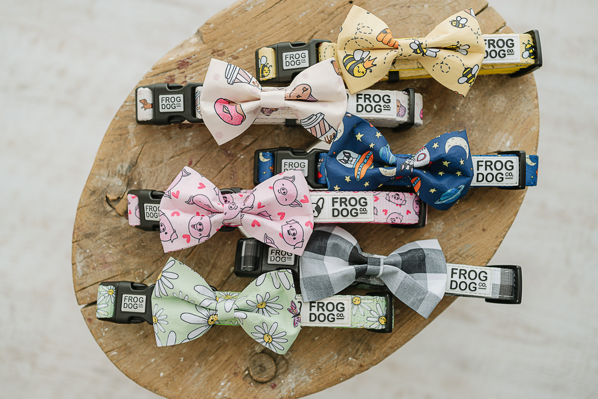 Stylish and Durable Dog Collars Collection | FROG DOG CO.