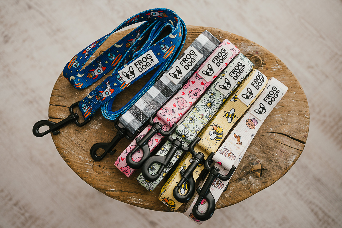 Stylish and Durable Dog Leads Collection | FROG DOG CO.